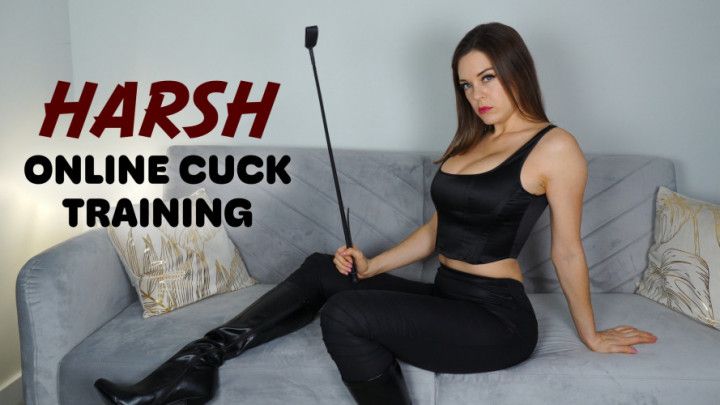 Missalikawhite Harsh Online Cuck Training Manyvids